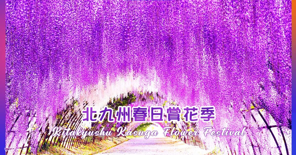 [Kyushu Spring Flower Viewing Season] Kitakyushu Mojiko, Kawachi Fuji ...