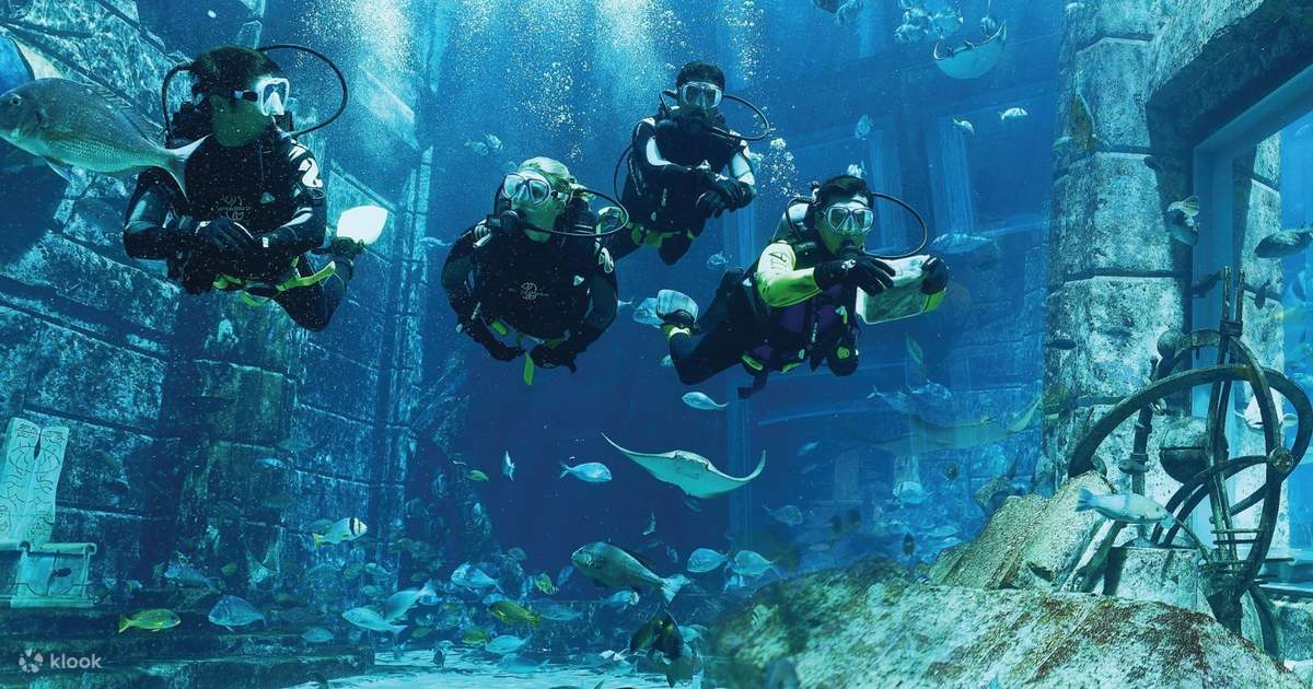 失落的空間水族館迪拜亞特蘭蒂斯探索水肺潛水體驗 Klook 客路