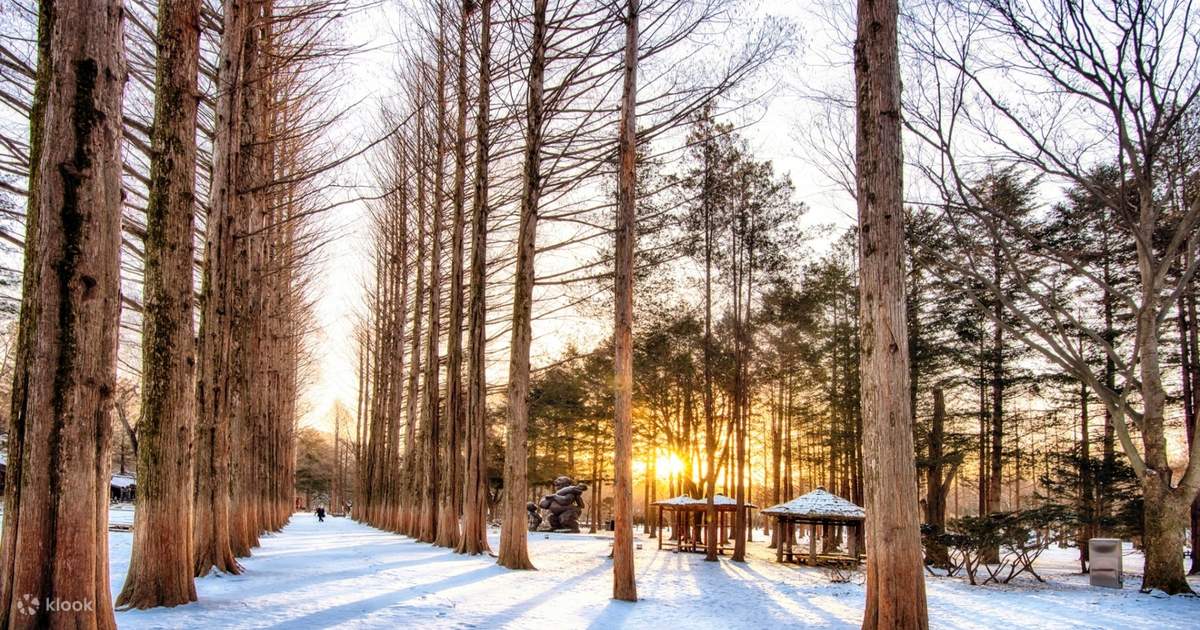 A Guide To Nami Island, Seoul | Trip101