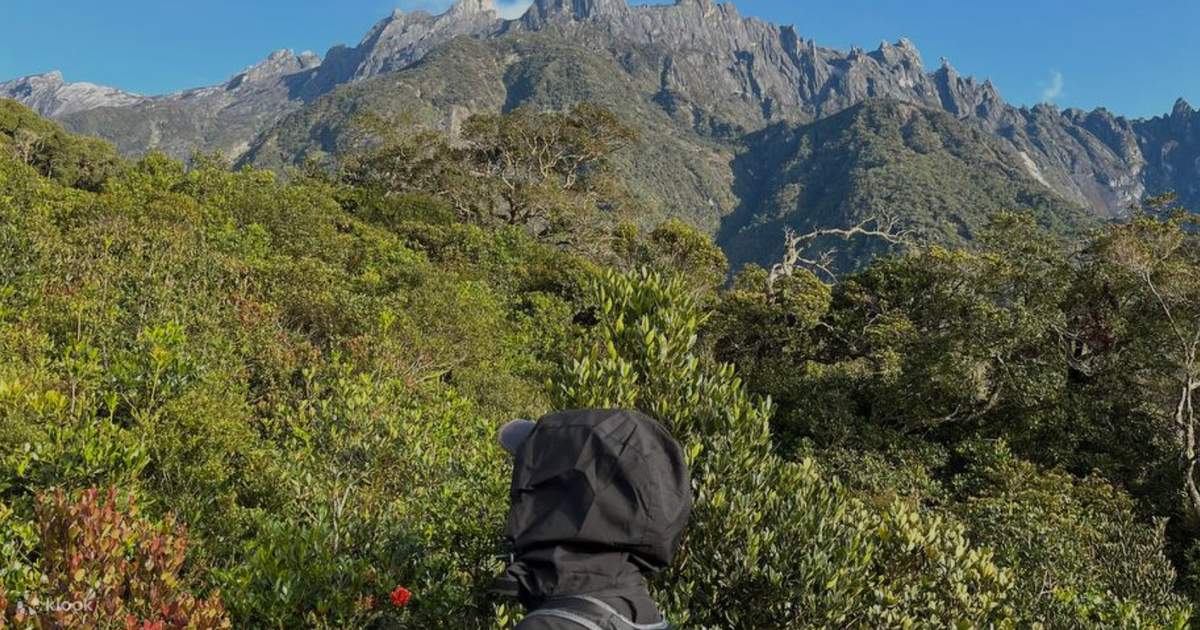 Maragang Hill Crocker Range Day Hike – Scenic Adventure from Kota ...