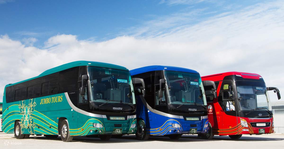 Okinawa Hip Hop Bus One Day Tour - Klook
