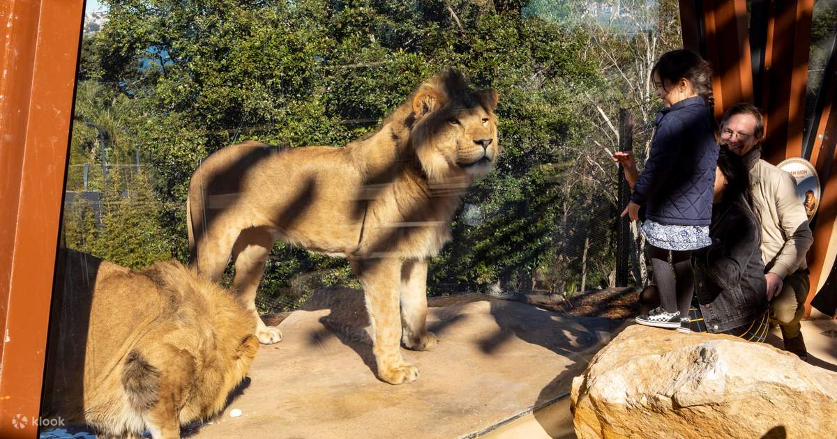 Taronga Zoo Entry Ticket - Klook Singapore