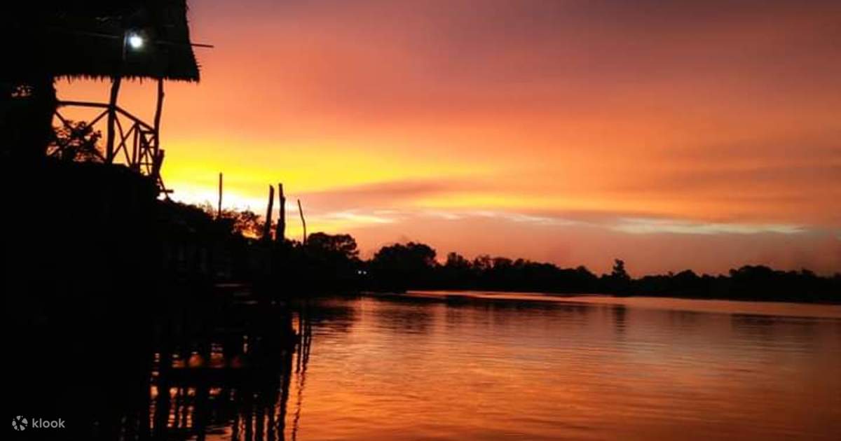 Bintan Fireflies and Mangrove River Tour - Klook Việt Nam