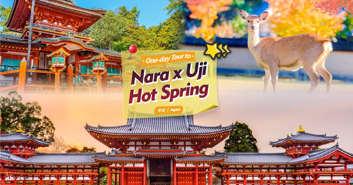 [Nara & Uji] Nara Park & Todaiji Temple & Byodoin Temple & Uji Matcha ...