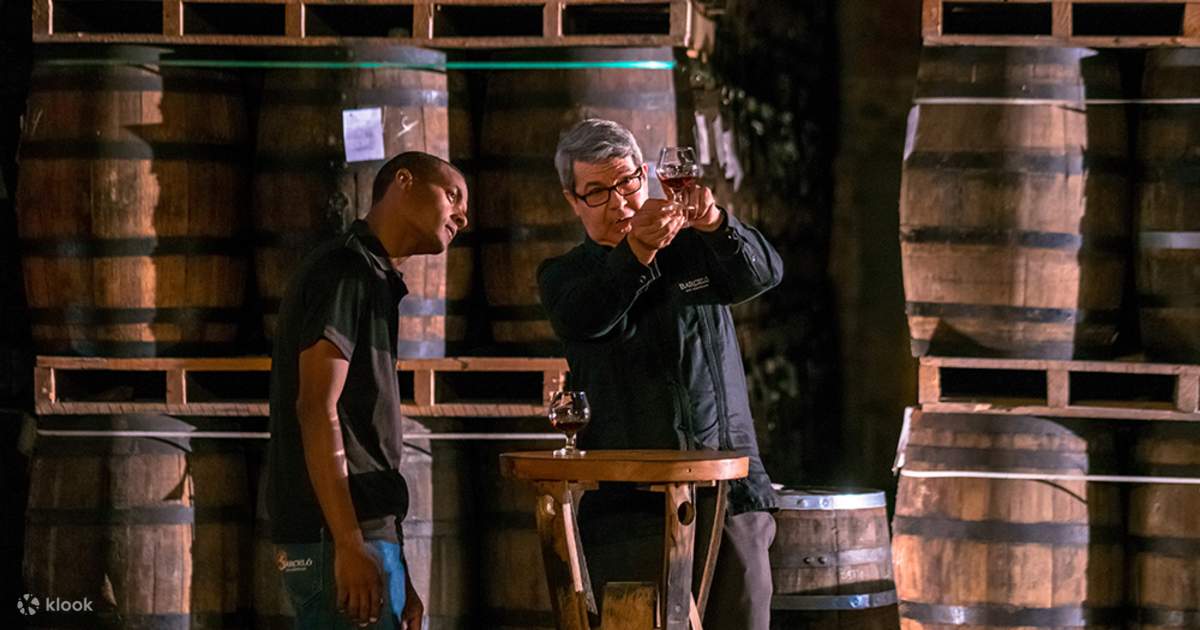 Half-Day Tour: Ron Barceló Factory Experience from Santo Domingo ...