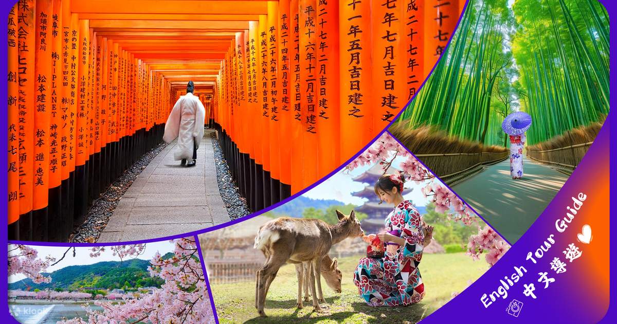 Kyoto Arashiyama Scenic and Cultural Tour and Nara Deer Fun Experience ...