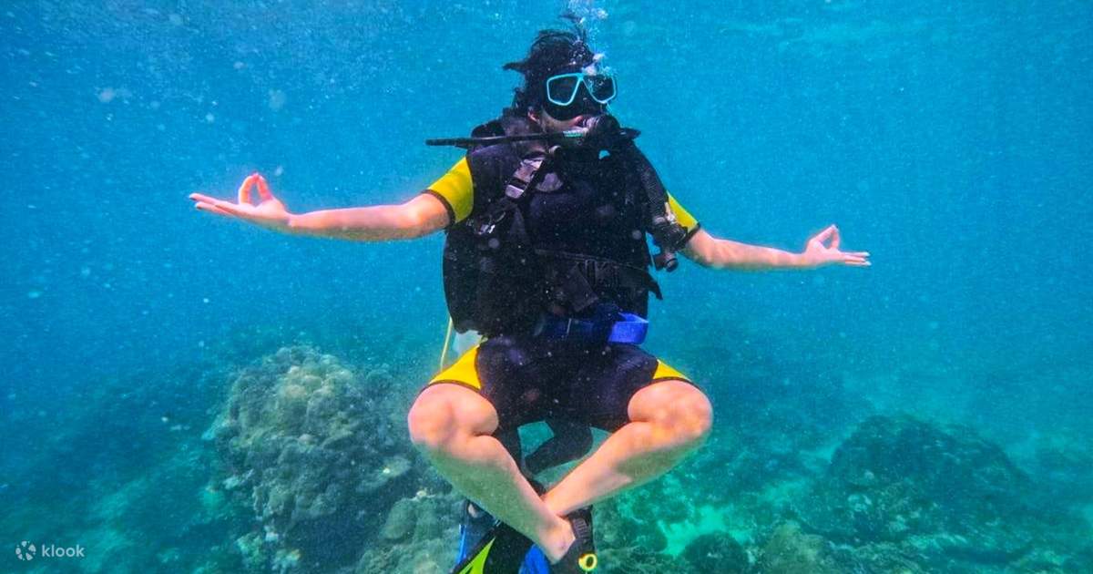 Join In Cat Island Phuket Scuba Diving, Snorkeling Half Day in Phuket ...