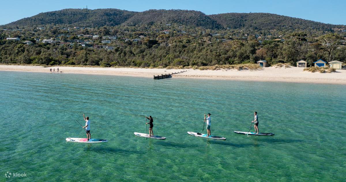 Stand Up Paddle Boarding, Makan Tengahari dan Pengalaman Mata Air Panas ...