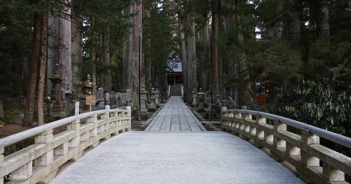 Mt. Koya One Day Heritage Tour from Osaka with Buddhist Lunch - Klook ...
