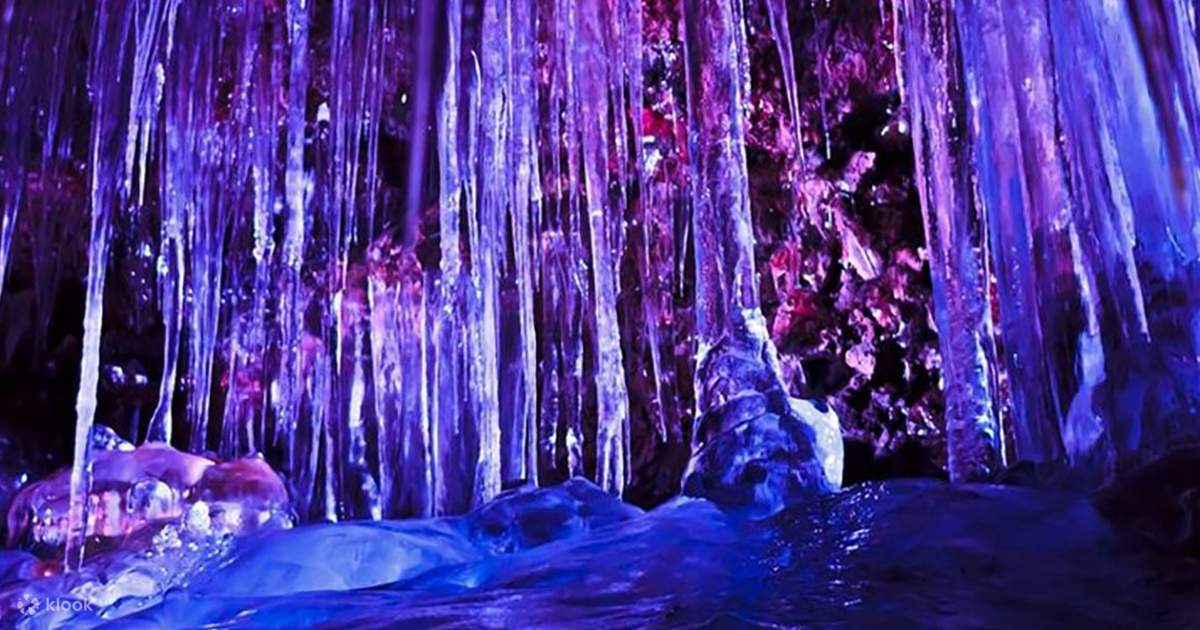 Mt. Fuji, Wind Cave, Ice Cave, and Fuji Sake Day Trip from Tokyo with ...