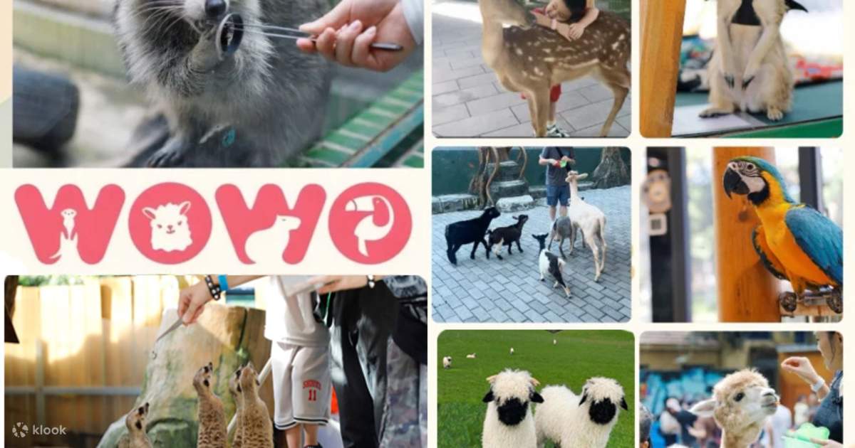 WOWO窝窝萌宠森友会 (世界之窗店) - Klook客路