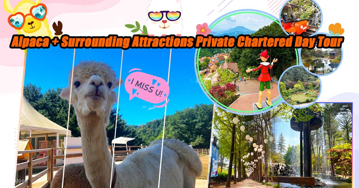 Alpaca World + Nami Island Private Day Tour - Klook United States