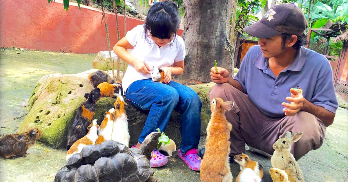 KL Tower Mini Zoo Ticket - Klook Malaysia