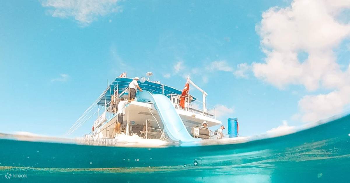 Splash And Slide Dolphin Cruise Experience in Port Stephens - Klook