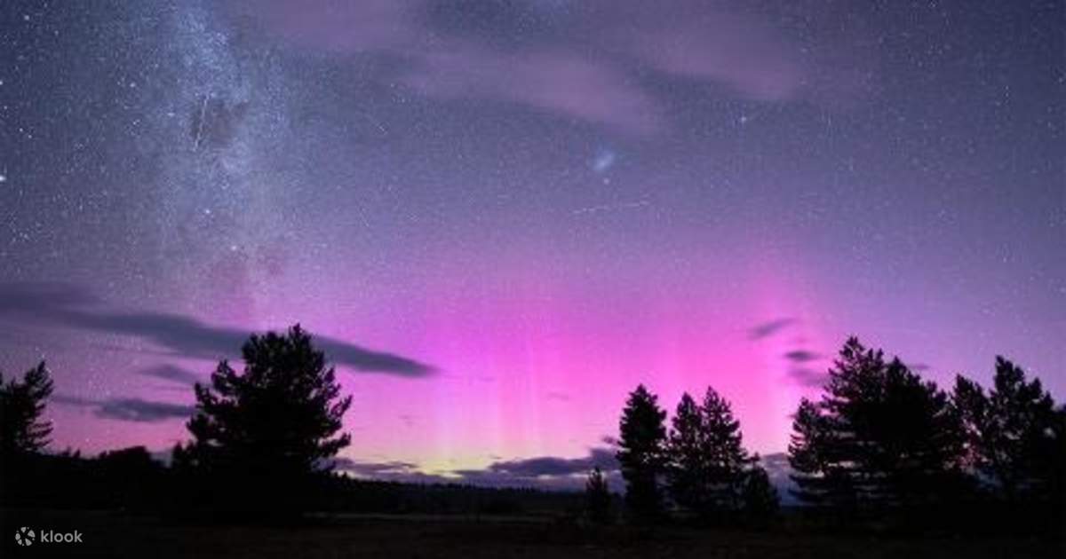 Chameleon Stargazing Shared Tour in Lake Tekapo - Klook
