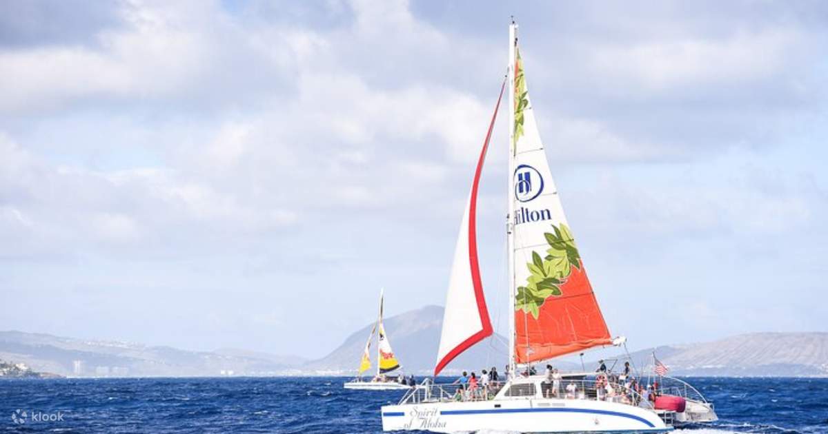 Turtle Reef Snorkeling and Sailing Experience from Port Waikiki - Klook ...