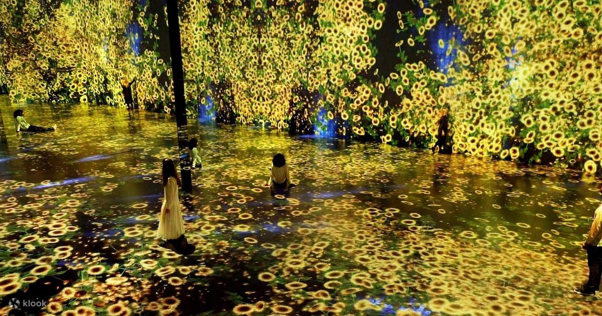 Superblue Immersive Art Experience feat. teamLab Admission in Miami - Klook