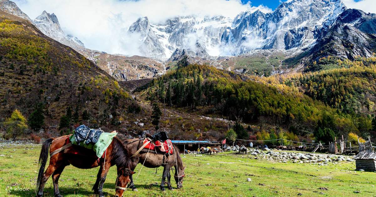 One-Day Tour of Mount Siguniang, Sichuan (Most Beautiful Pastoral ...