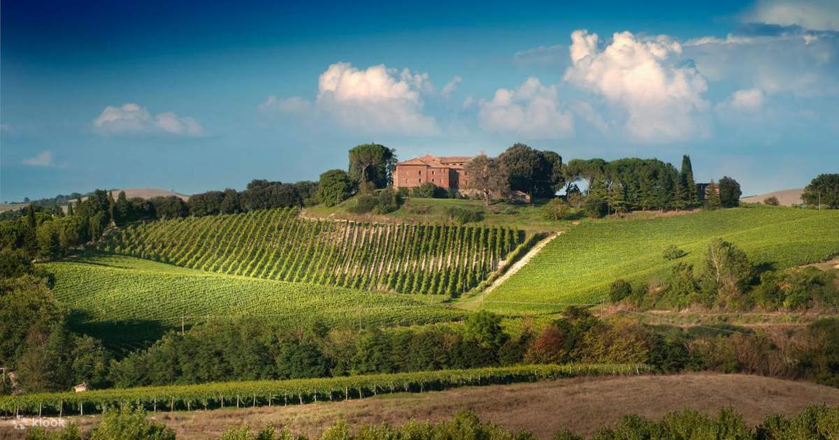 Brunello wine tasting tour in Montalcino with lunch in Tuscan castle ...