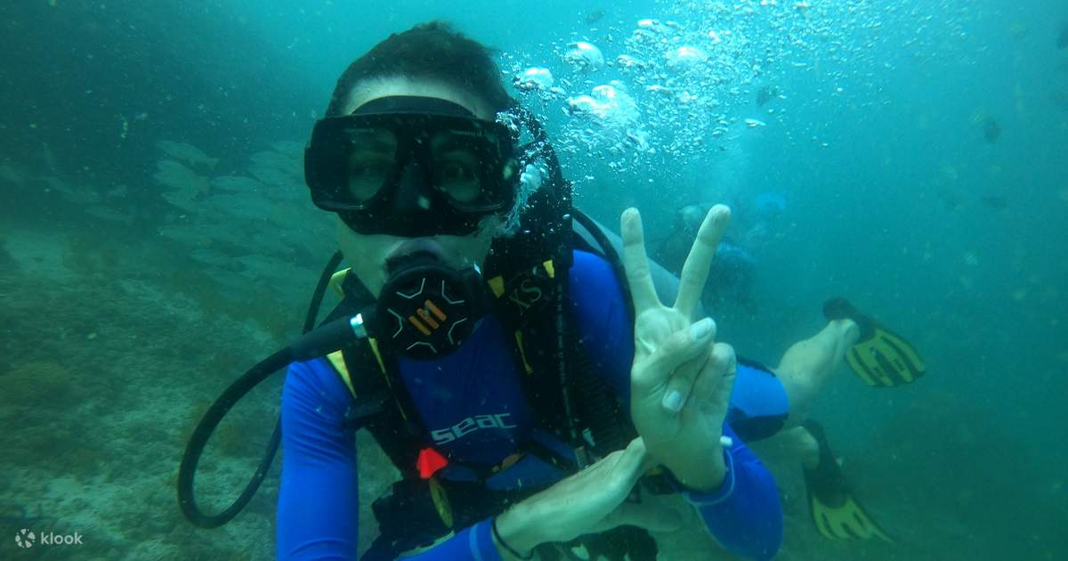 Battesimo dell'Immersione per Principianti a Dubai - Klook Stati Uniti