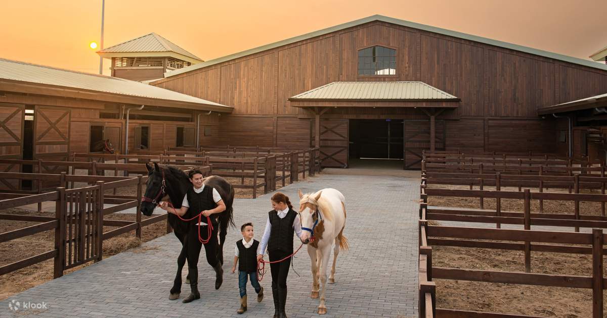 Vinpearl Horse Academy Ticket in Vu Yen - Klook Canada