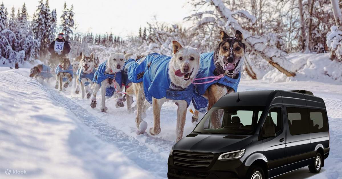 Fairbanks, Alaska Dog Sledding Day Tour - Klook