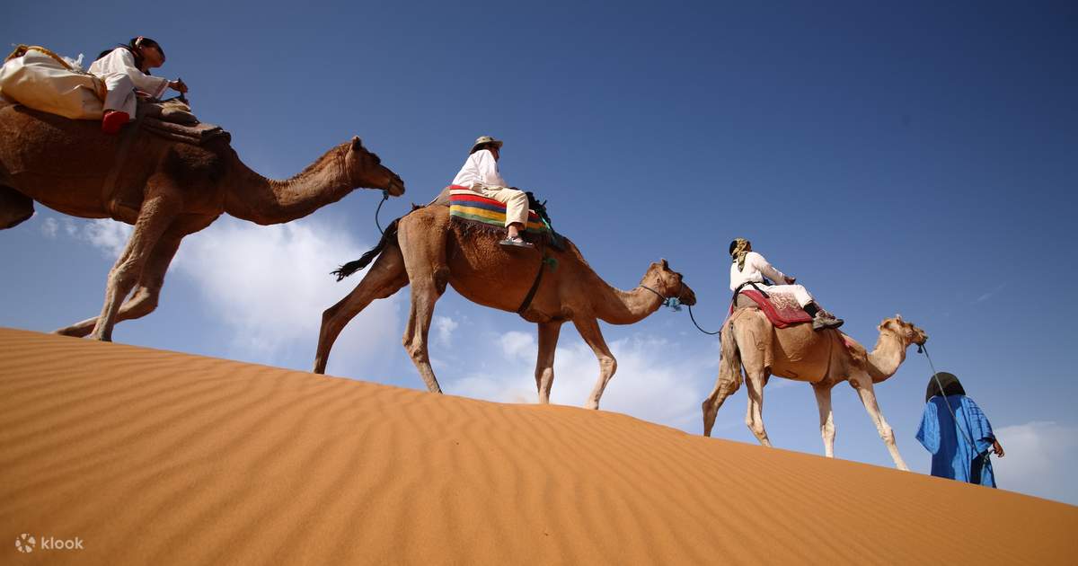 Desert Grand Tour: 4-day Merzouga Sahara Journey from Marrakech - Klook