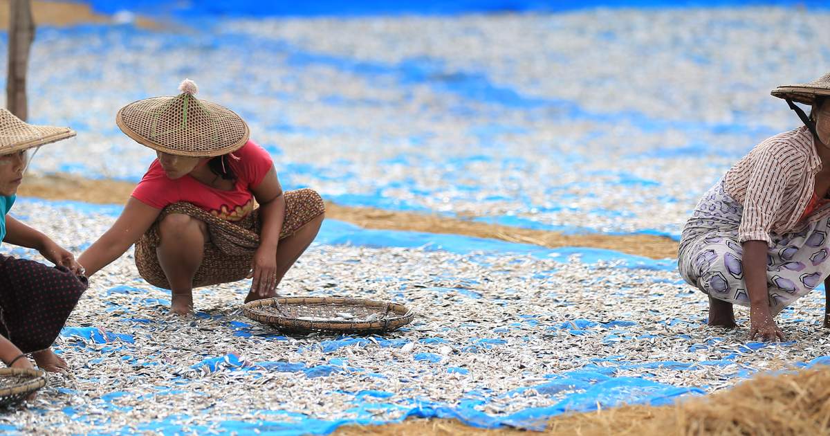 Thandwe Market and Ngapali Landmarks Guided Tour - Ngapali, Myanmar - Klook