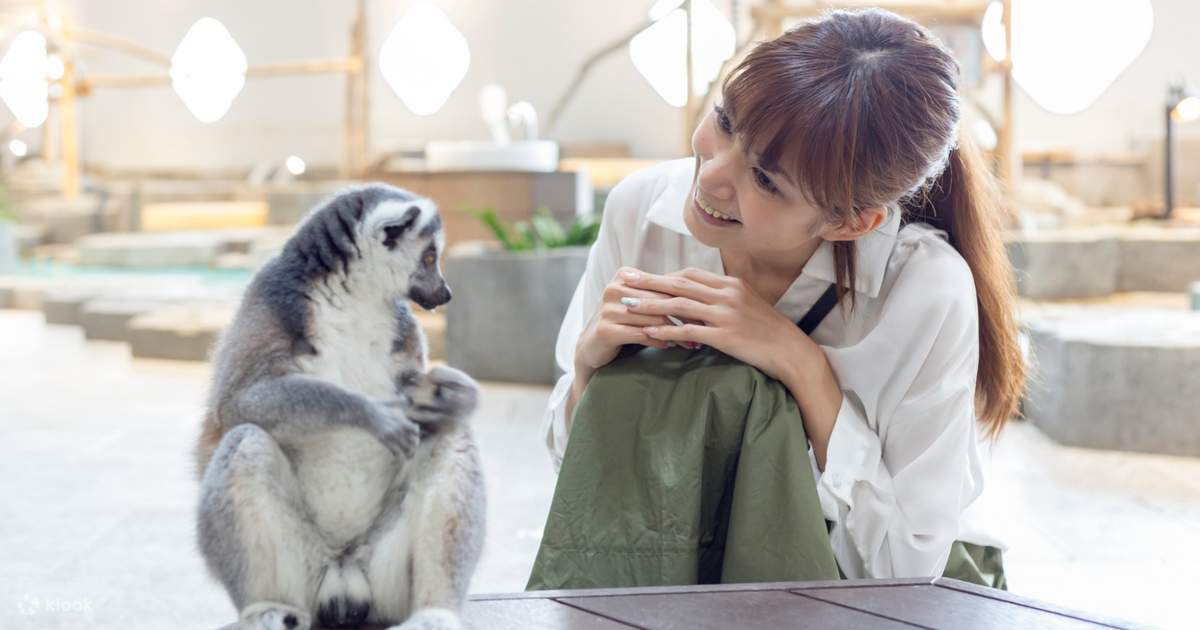 Interact with Majestic Animals in this NIFREL Interactive Aquazoo E ...