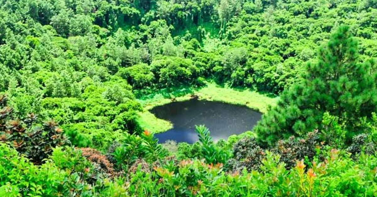 Southern Mauritius Landscape Tour - Klook