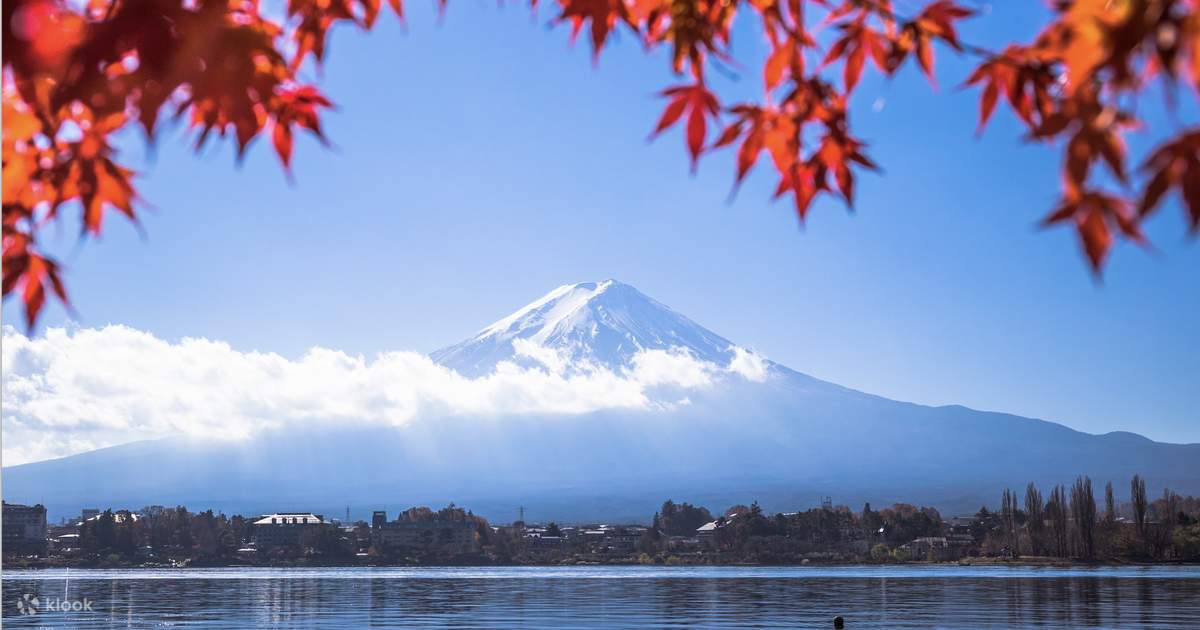 Mt. Fuji Classic Must-see Day Tour｜Fifth Station & Oshino Hakkai ...
