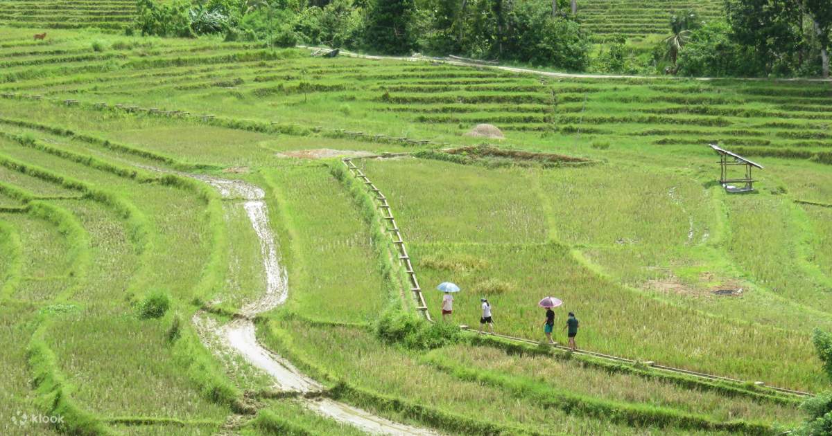 Caves, Falls & Scenic Landscapes: Anda Bohol Tour - Klook Philippines