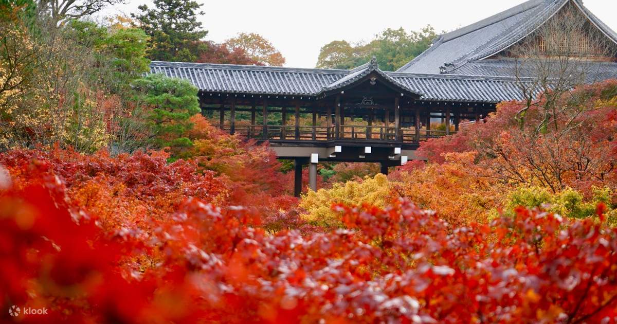 Kyoto Autumn Leaves & Fushimi Inari Taisha Tour with Fox Painting ...