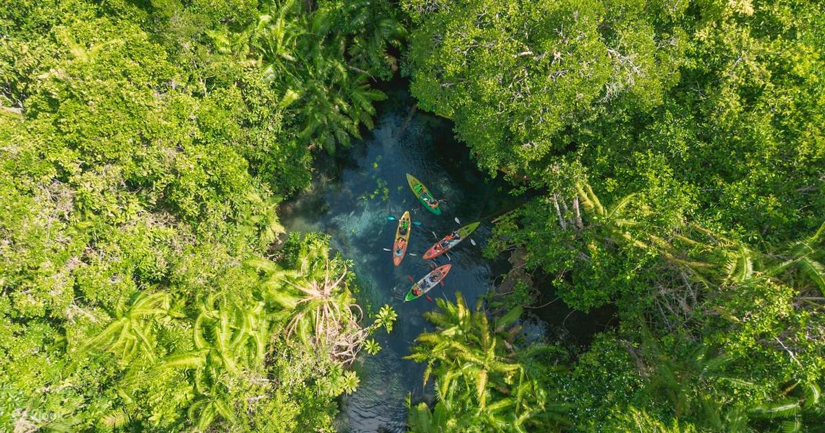 Klong Root Kayaking & Elephant Shelter Half-day Nature Tour from Krabi ...