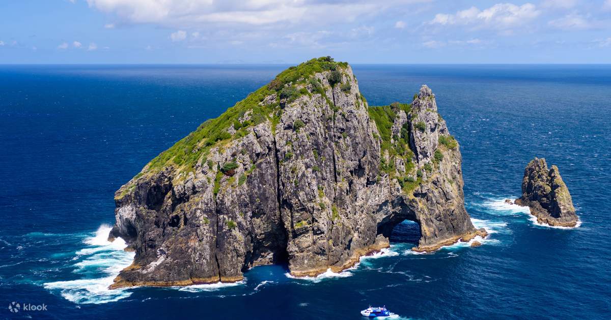 Tour xem cá heo nhóm nhỏ cả ngày Bay of Islands Hole in the Rock ...