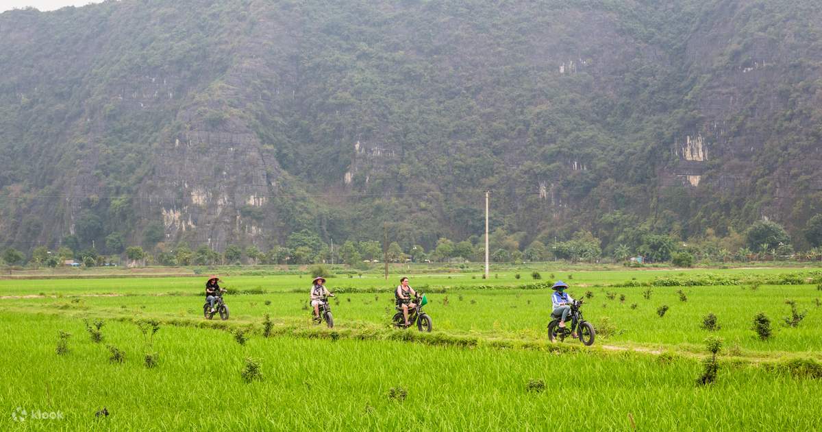 Petualangan Seharian dengan Sepeda Listrik ke Ninh Binh Mua Cave & Hoa ...