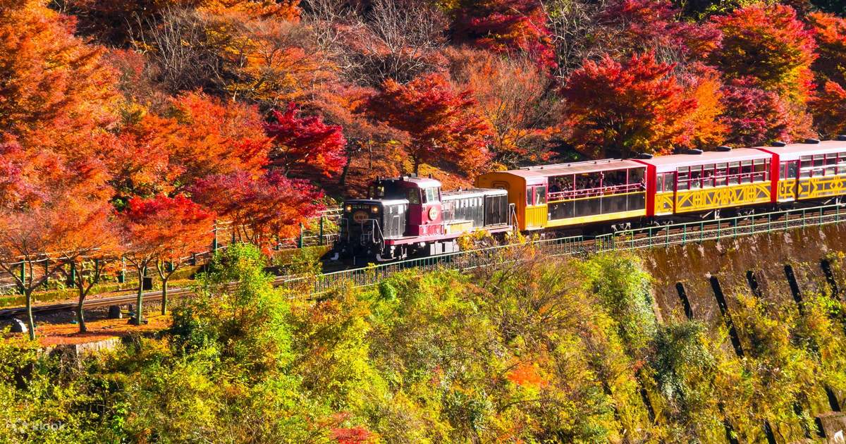 Kyoto Sagano Romantic Train Day Tour - Klook United States