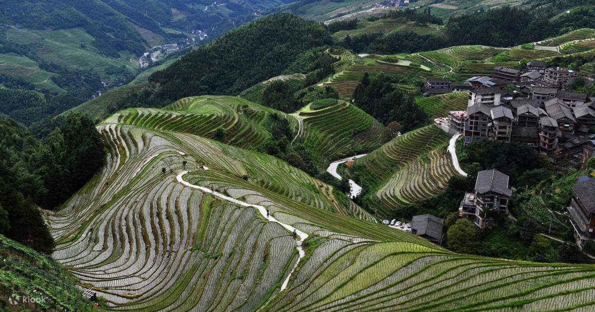 Hong Kong High Speed Rail Round Trip 4-Day Tour in Guilin, Guangxi ...