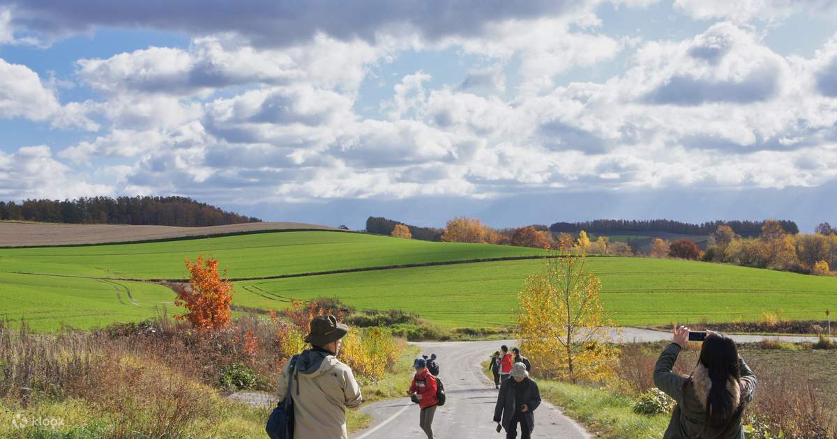 Refreshing Walking Tour in Biei - Klook