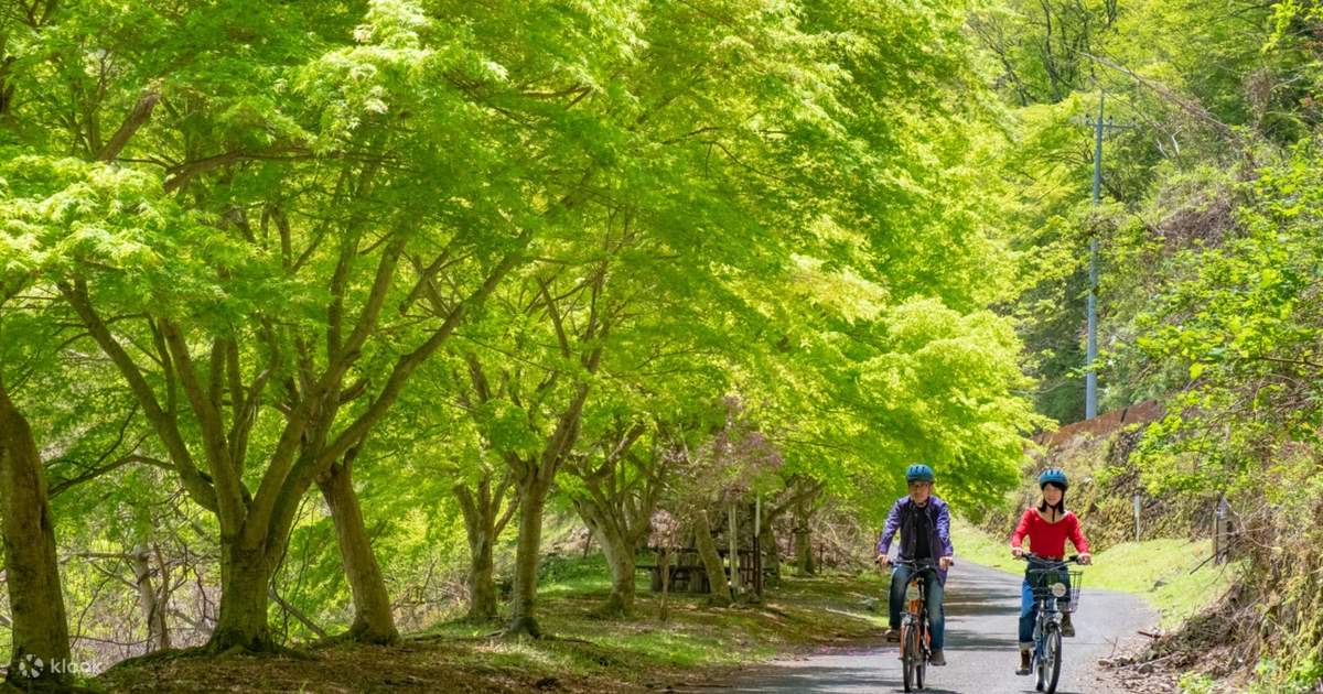 Tokyo Metropolis, Okutama Historical Road Half Day Cycling Tour - Klook ...