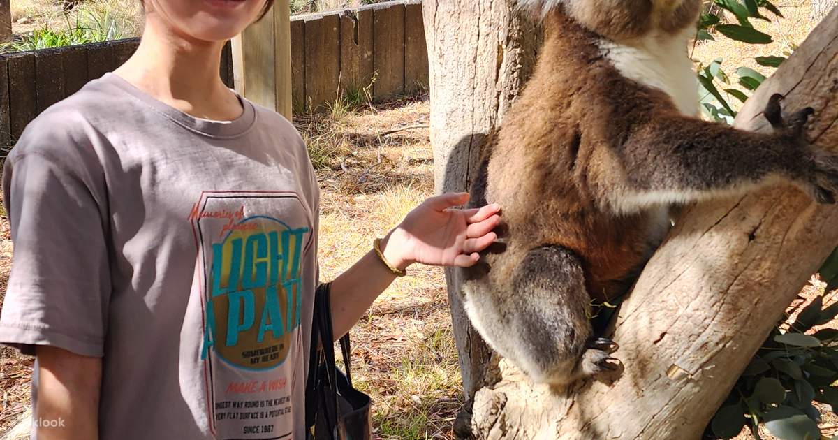 Cleland Wildlife Park & Historic Hahndorf Adelaide Hills Experience ...