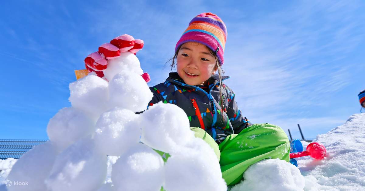 Biwako Valley Ski Resort Day Tour from Osaka - Klook Singapore