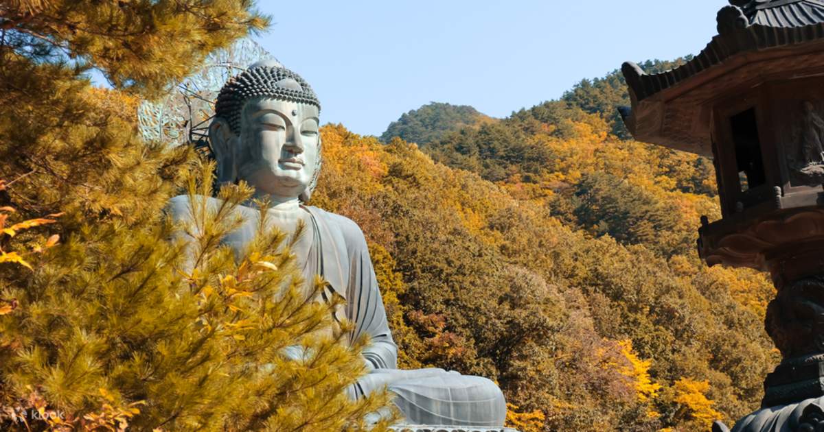 Nami Island and Mt. Seorak Day Tour - Klook Canada