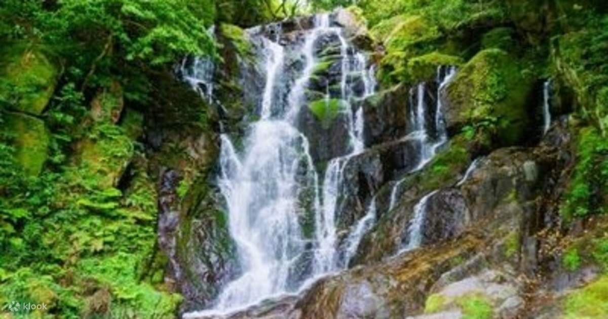 Sakurai Futamigaura's Couple Stones & Shiraito Waterfall One-day Nature ...