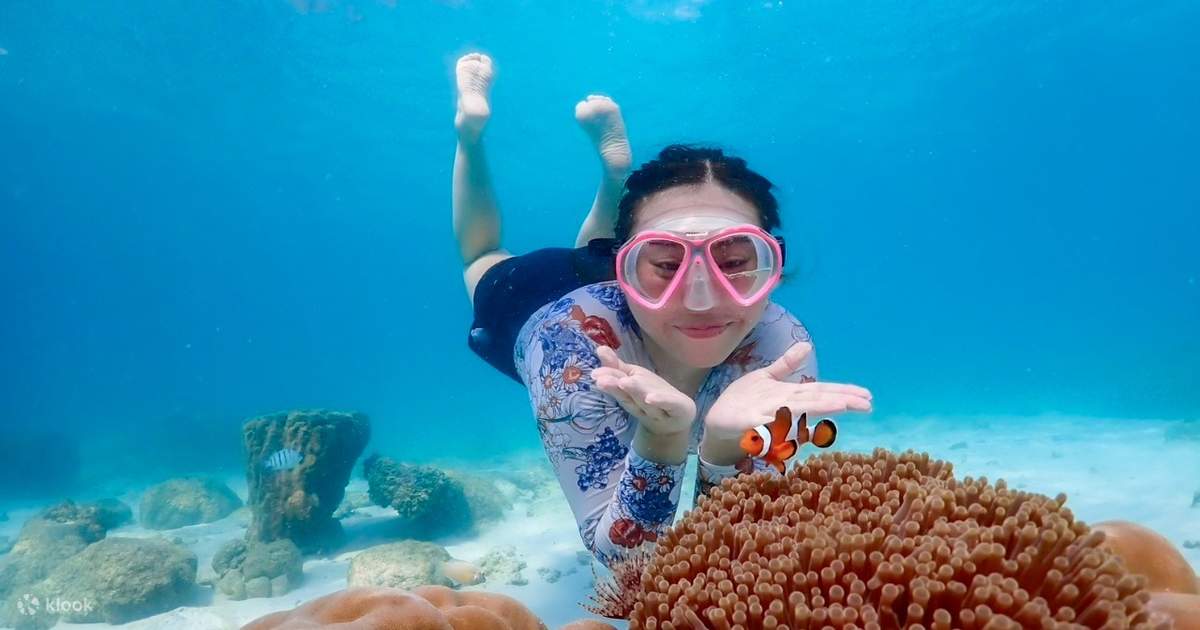 Dari Pattaya: Speedboat Pribadi ke Pulau Nemo dengan Antar-Jemput Hotel ...