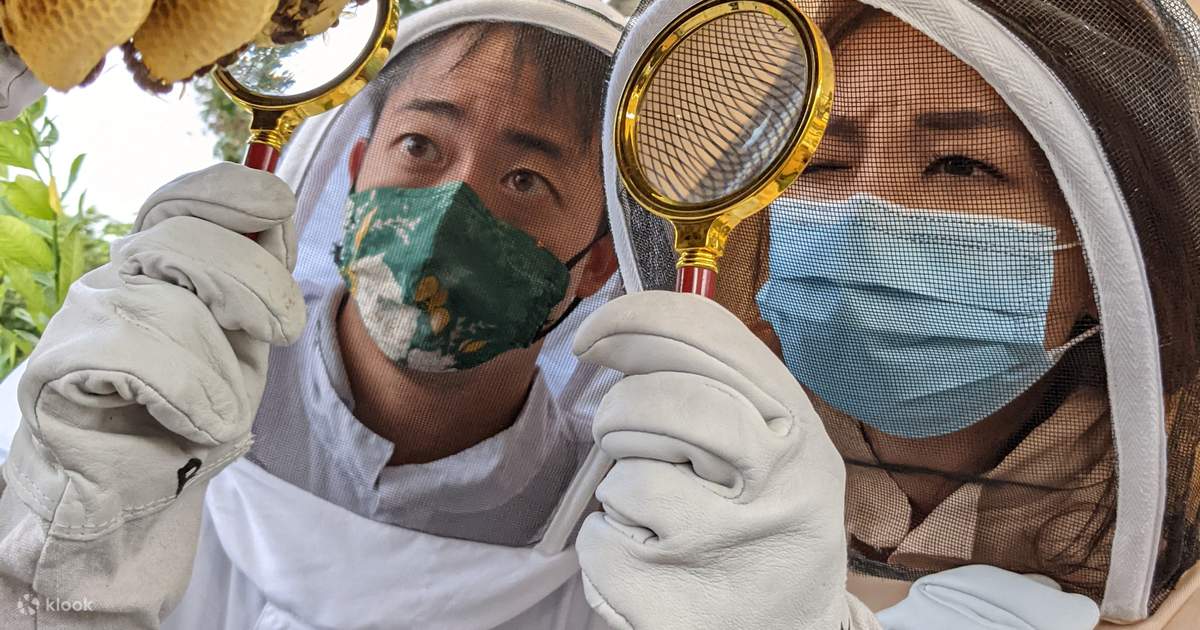 Rooftop Farm Experience at The Sundowner - Bees! Ants! Worms! - Klook ...