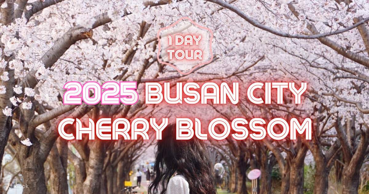 Busan City Cherry Blossom Tour with Top Attractions - Klook Canada