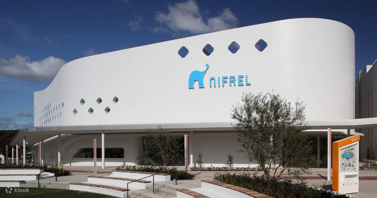 Interact with Majestic Animals in this NIFREL Interactive Aquazoo E ...