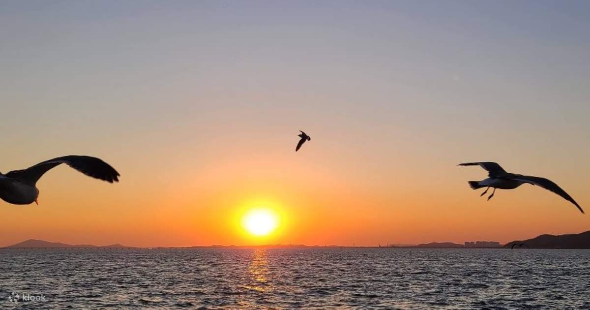 Incheon Sunset and Seafood Tour - Klook