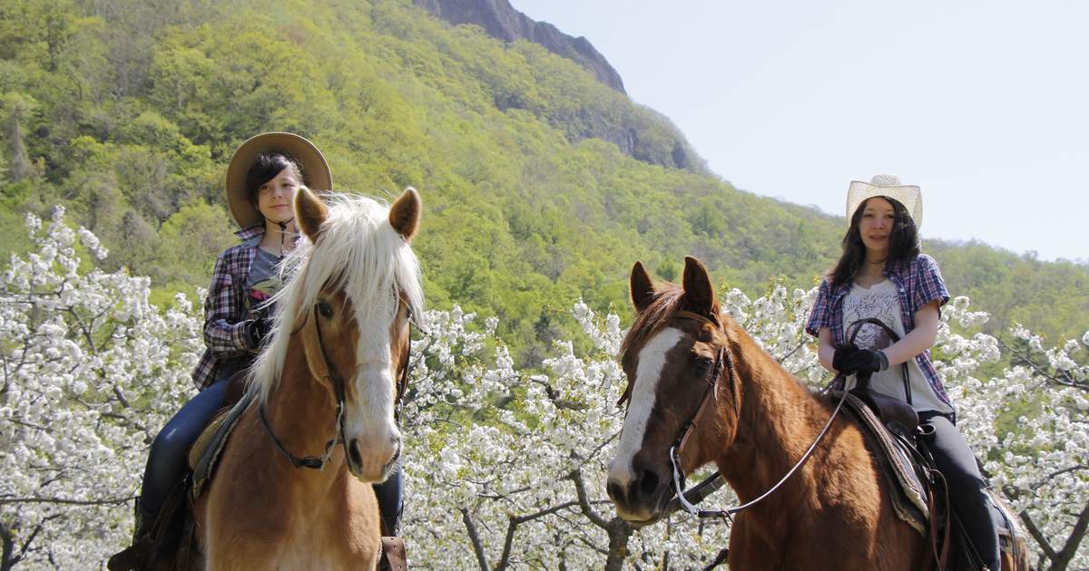 Horseback Riding Experience In The Great Outdoors And Refresh Yourself ...
